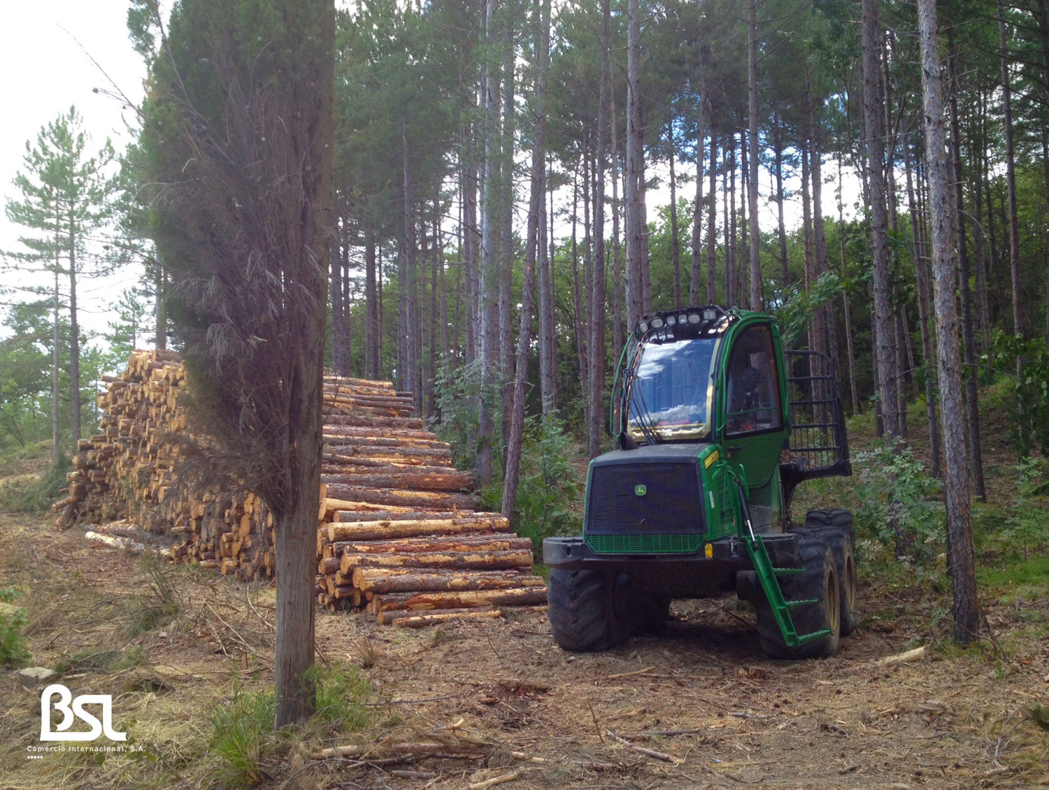 BSL – International Trade – Com uma presença ibérica, a BSL, opera nos ...